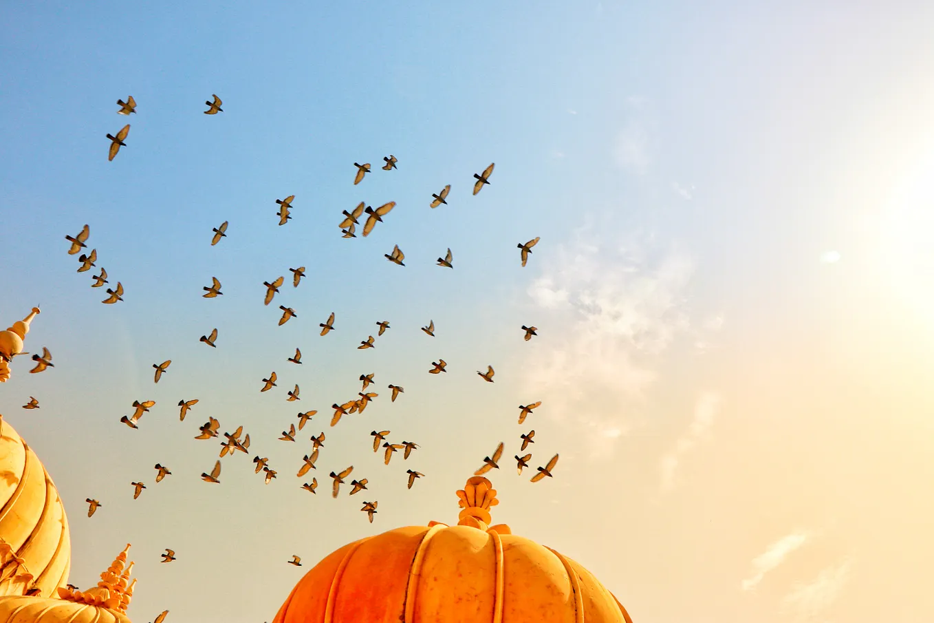 A mind, once expanded, never returns to its original size. - Marshall ...