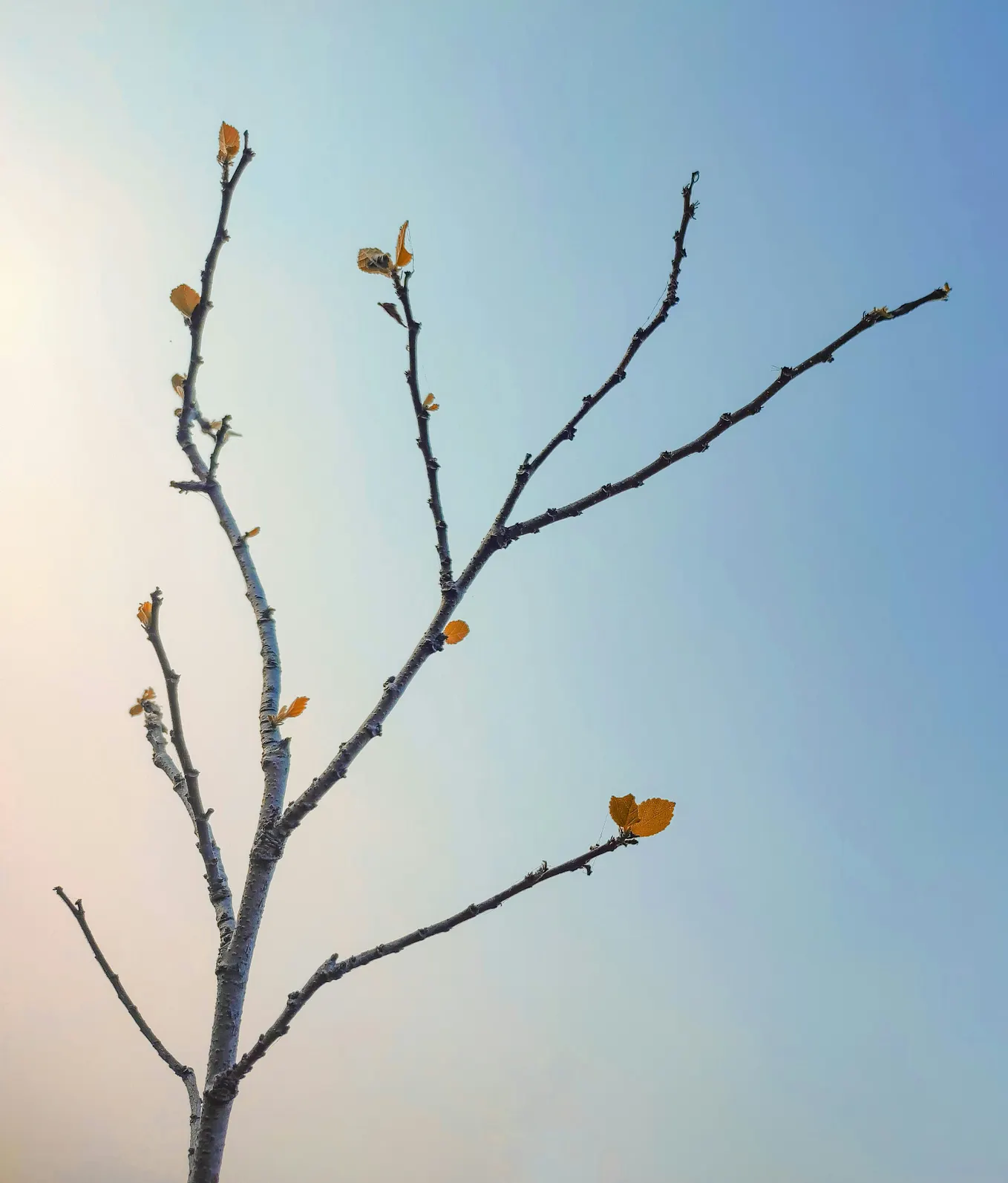 A Beginner’s Guide to Semantic Versioning (SemVer) | by Aliakbar ...