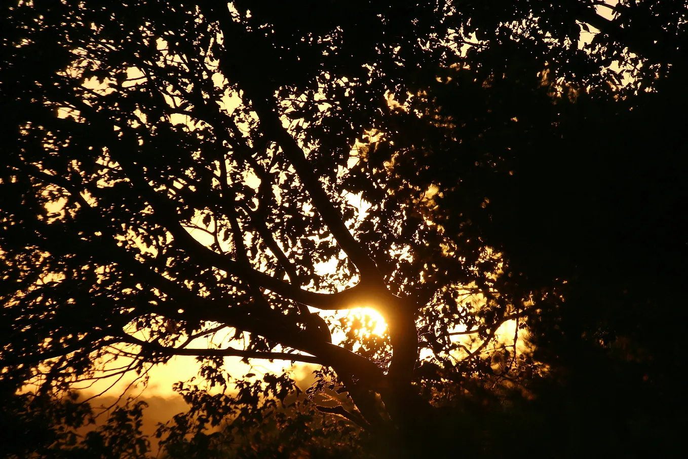 What is Ifa? An Introduction to the Yoruba Spiritual System | by Kelly ...