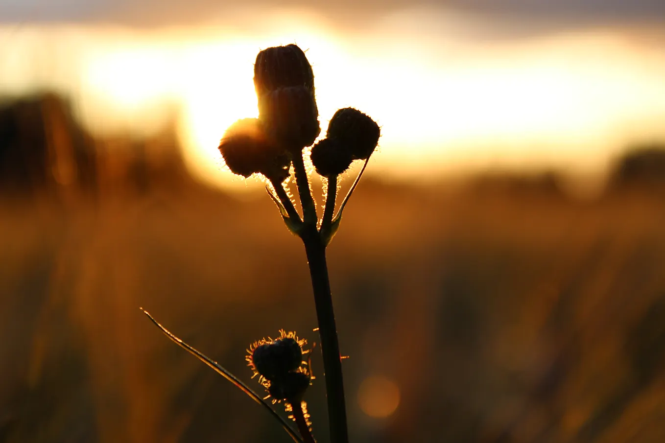 Java Design Pattern 設計模式 適配器模式 Structural Patterns Adapter Pattern 適配器模式 Bucketing