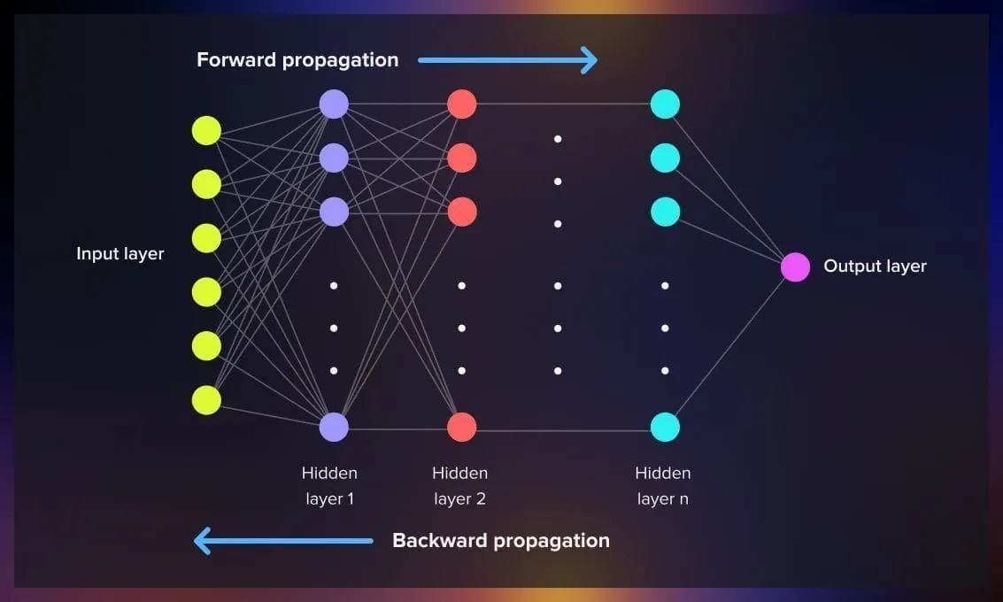 Graph Traversals Simplified Bfs Vs Dfs With Code And Use Cases By Code X Design By Pranav