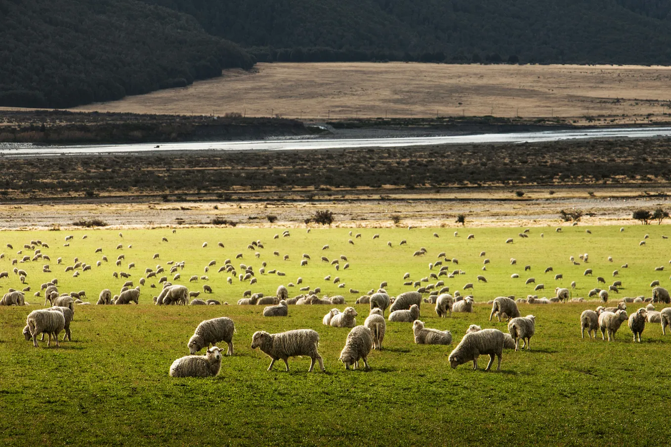 A Brief History of Agriculture. How humans slowly learned how to… | by ...