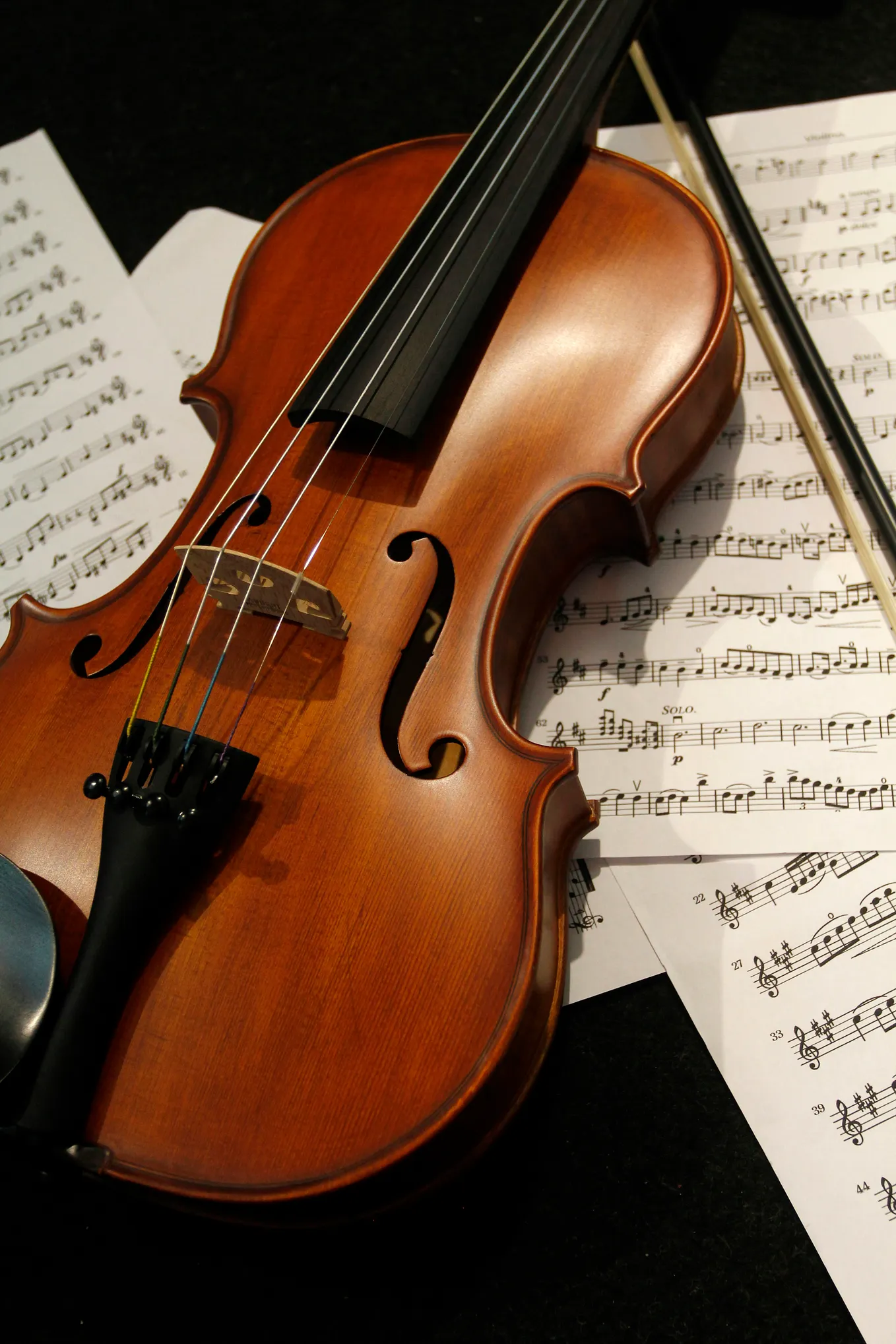 How to Learn Violin as an Adult: 5 Honest Lessons from a Violin Teacher ...