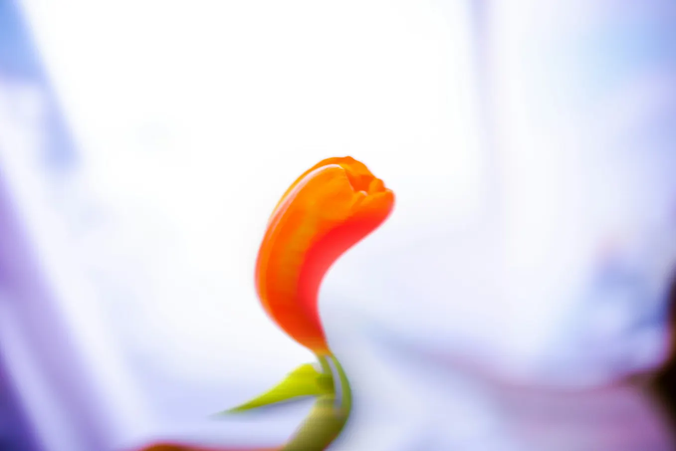 short ode to Yotser . . .. from year 20 something. | by Chibuzor ...