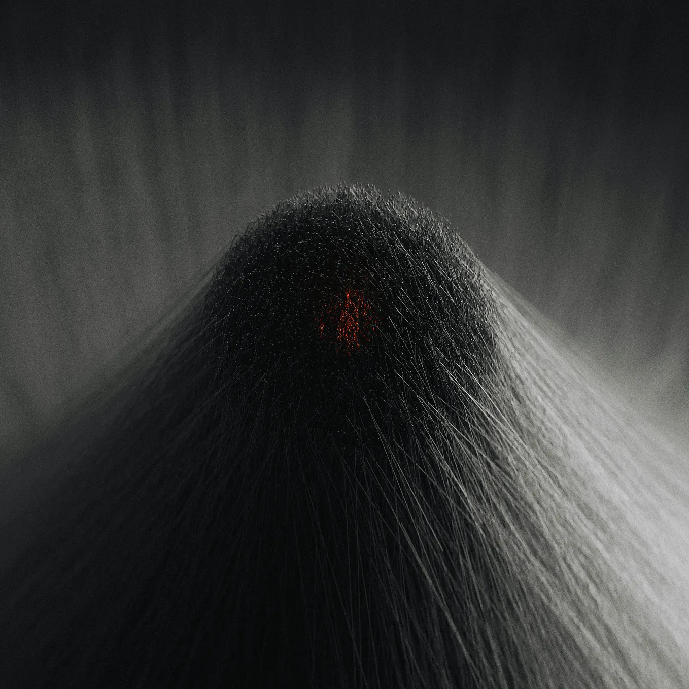 Machine Learning Target Variables: Definitions and Examples | by ...