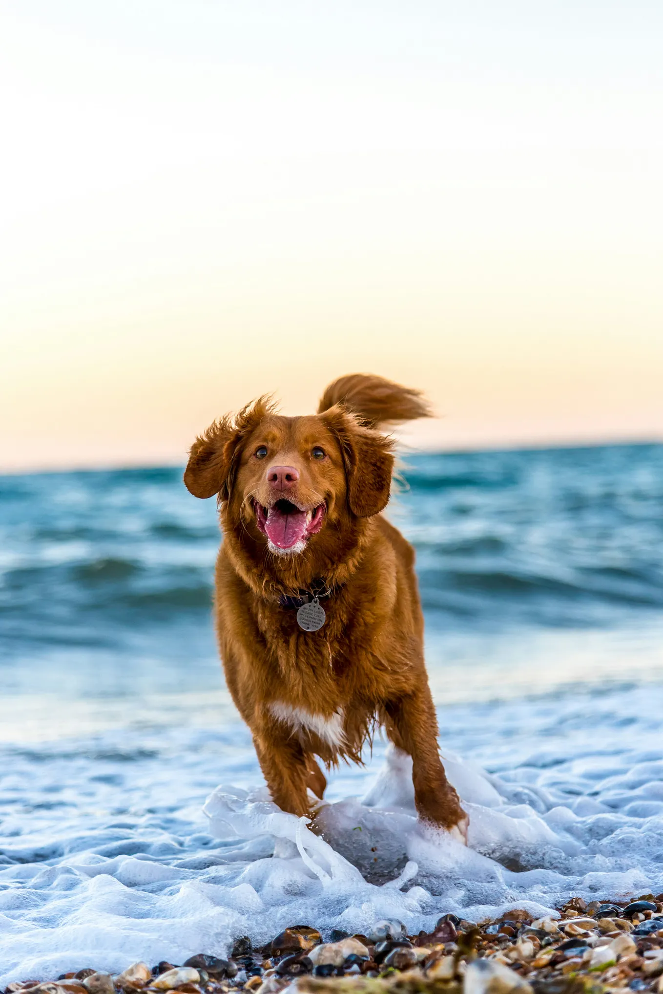 Pydantic in Production: Avoiding Performance Pitfalls | by ...