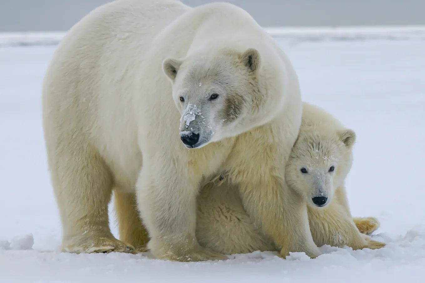 Data Statistics in Polars. Learn how to extract insightful… | by Alexandre Petit | Python in ...