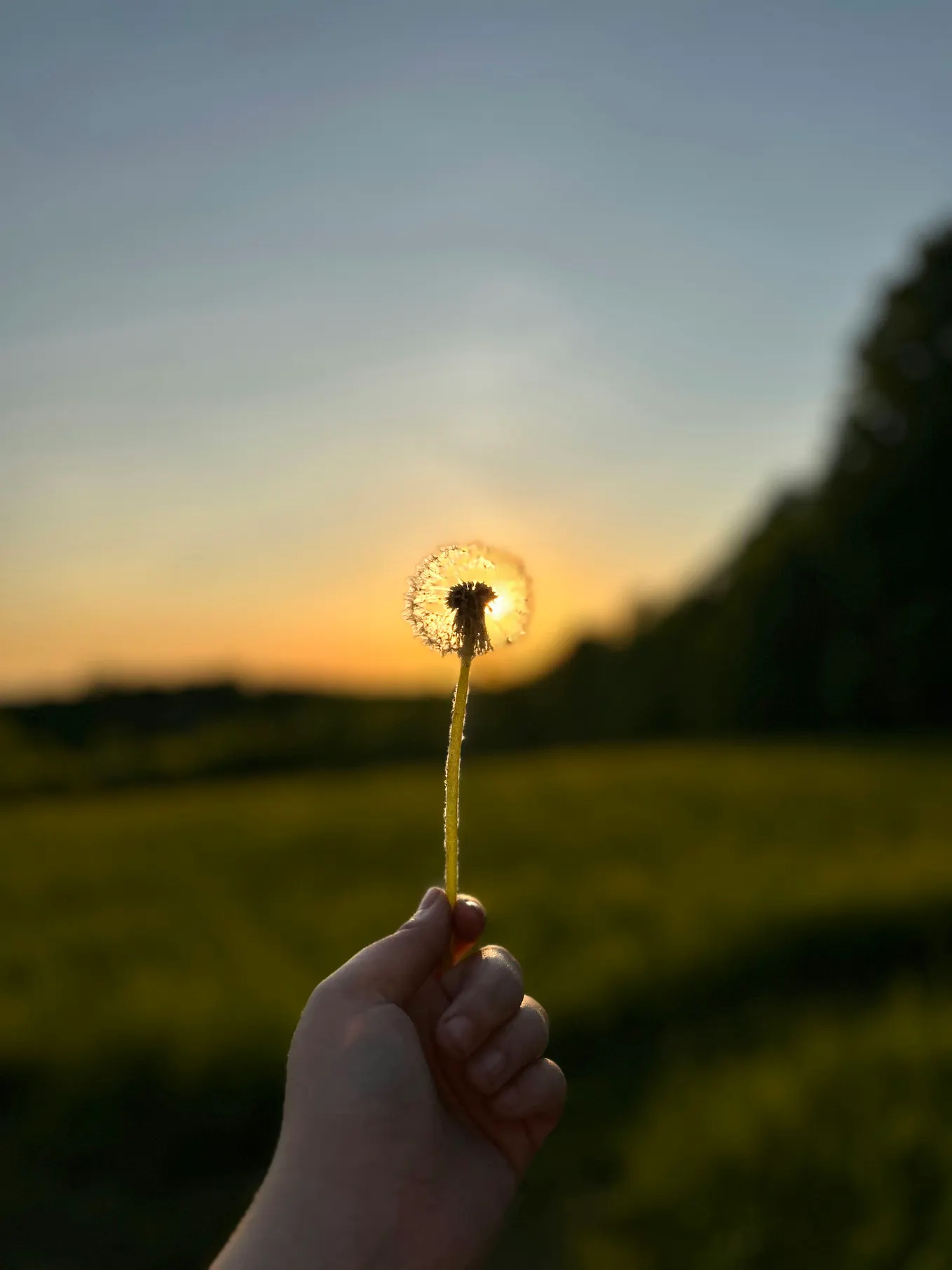 Finding What Keeps you Alive. Even in the harshest conditions | by ...