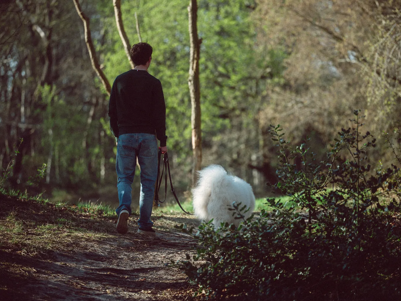 Oh, She Was One of Those?. To me she was as pure as the driven… | by ...