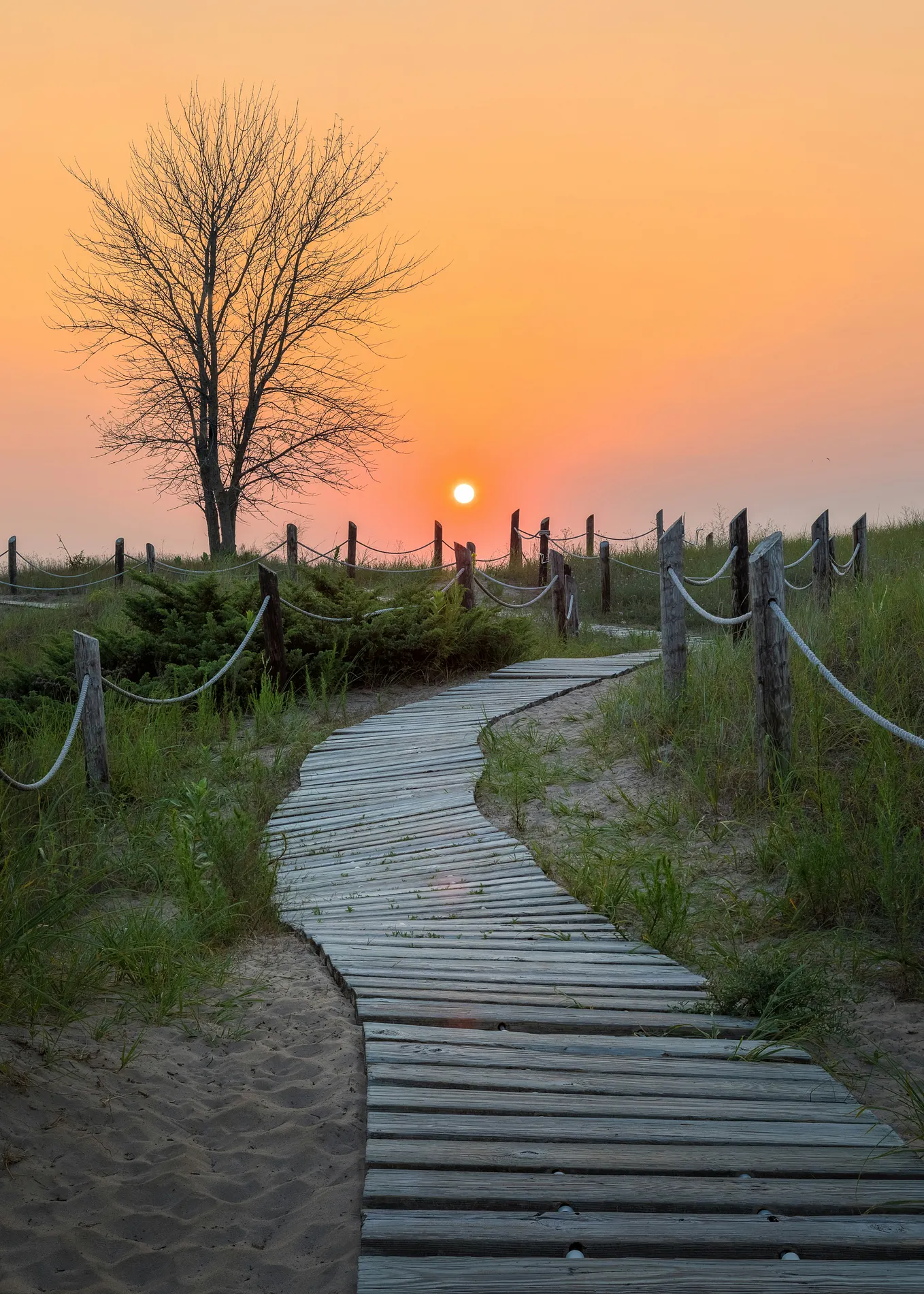 React Select Made Easy: From Basics to Advanced Features | by Amol ...