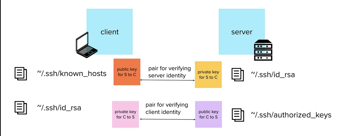 0.0.0.0: What This Special IP Address Really Means | by howtouselinux | Programming Domain | Medium