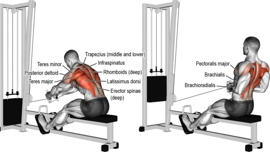 Chest Supported Row Alternatives. Let’s look at the best chest ...