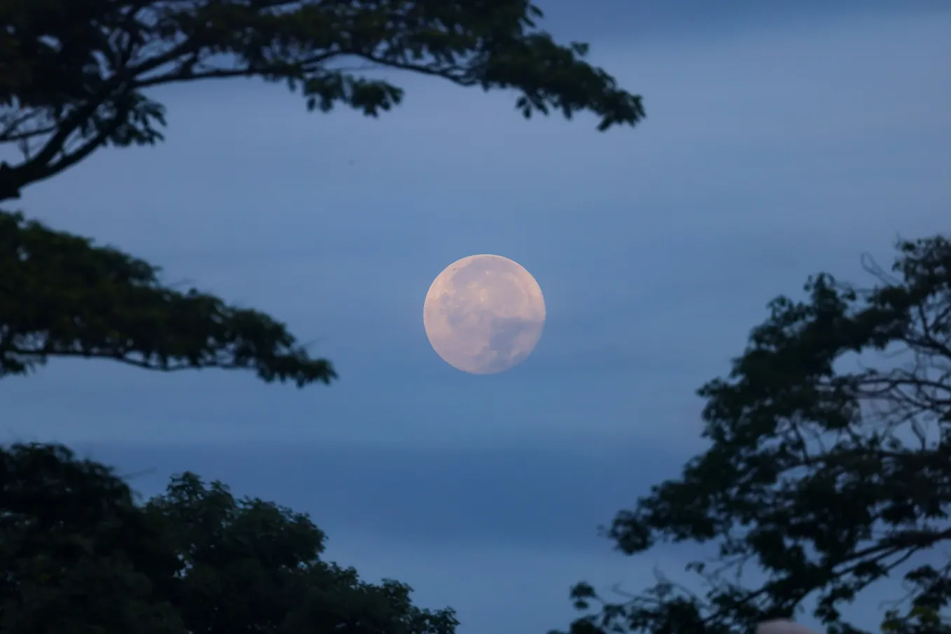 Your May Ahead 2026 Based on Your Zodiac Sign | by Simone Katherine ...