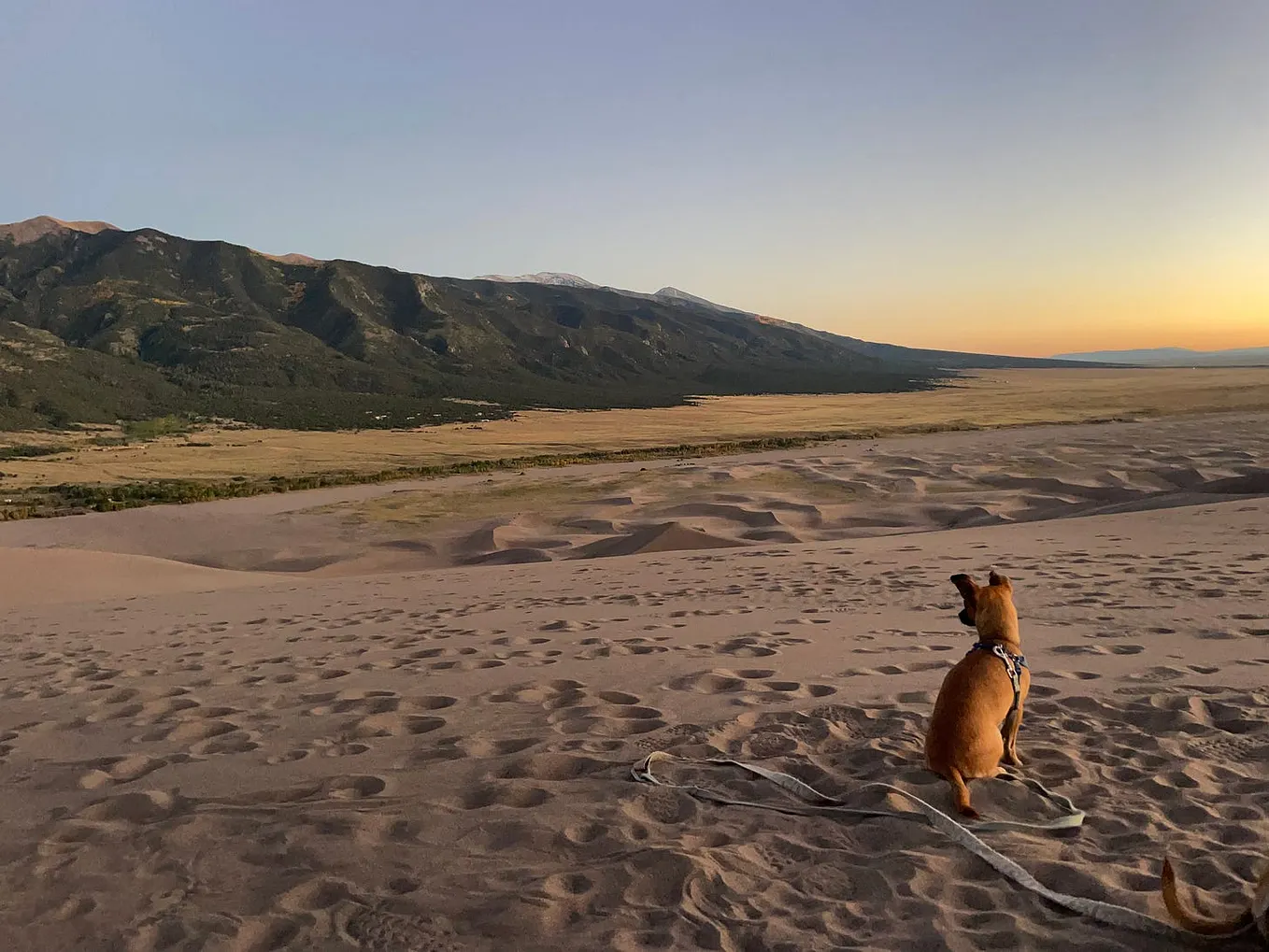 It’s such a hard thing to navigate. Though lately I’ve been telling ...