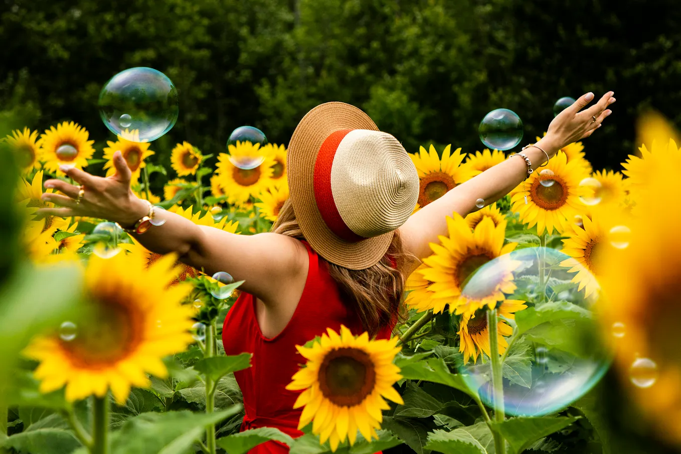 The Practice of Not Minding When People Disagree With You | by Bridget ...
