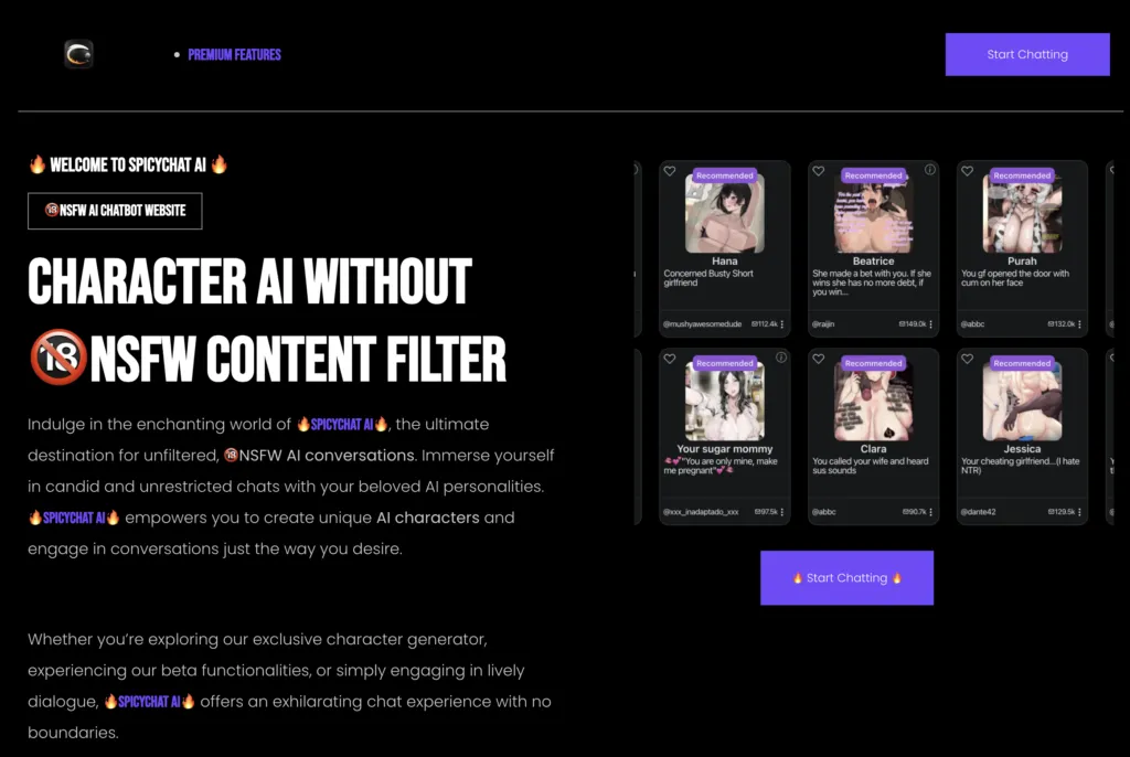 A Comprehensive Guide: How to Utilize SpicyChat AI in 2024 | by SpicyChat AI | Medium