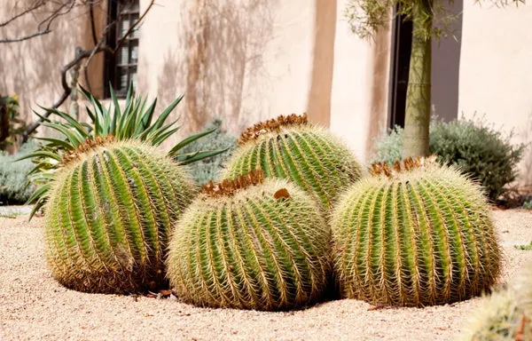 DESIGNING THE PERFECT THREE-POT CLUSTER | by Josh Harrison | The ...