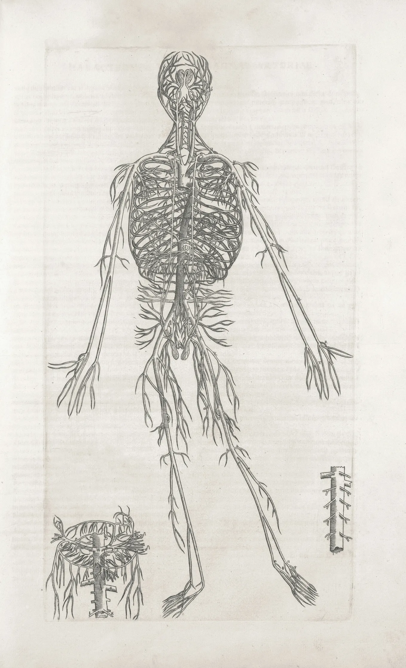 Ah it seems you broke your ~/.zshrc . what exactly did you write? (I mean don't tell us your api ...