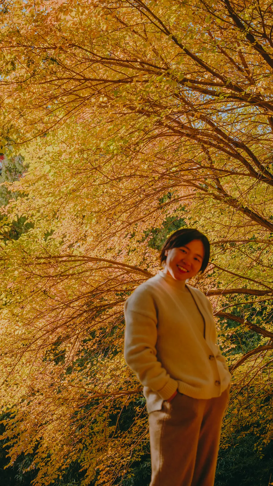 Understanding Different Types of RAG (Retrieval-Augmented Generation ...