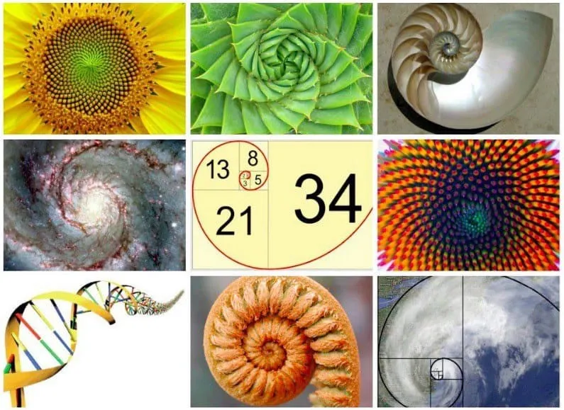 Zonos-Hebrew: Fine-Tuning Zonos on SASPEECH with a Phonikud Phoneme ...