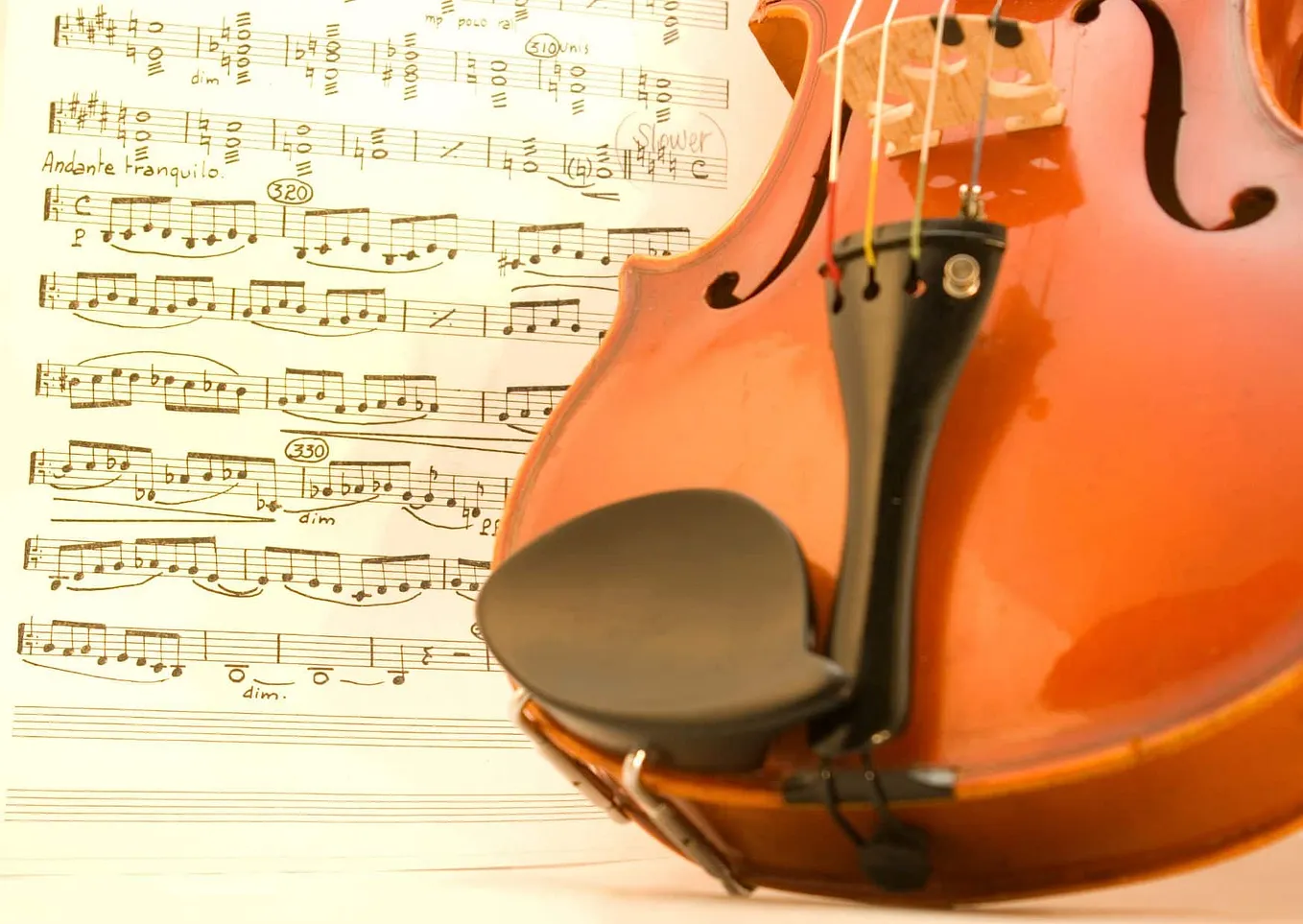Low Pitched Instruments: The Giants of the Musical World | Classical ...