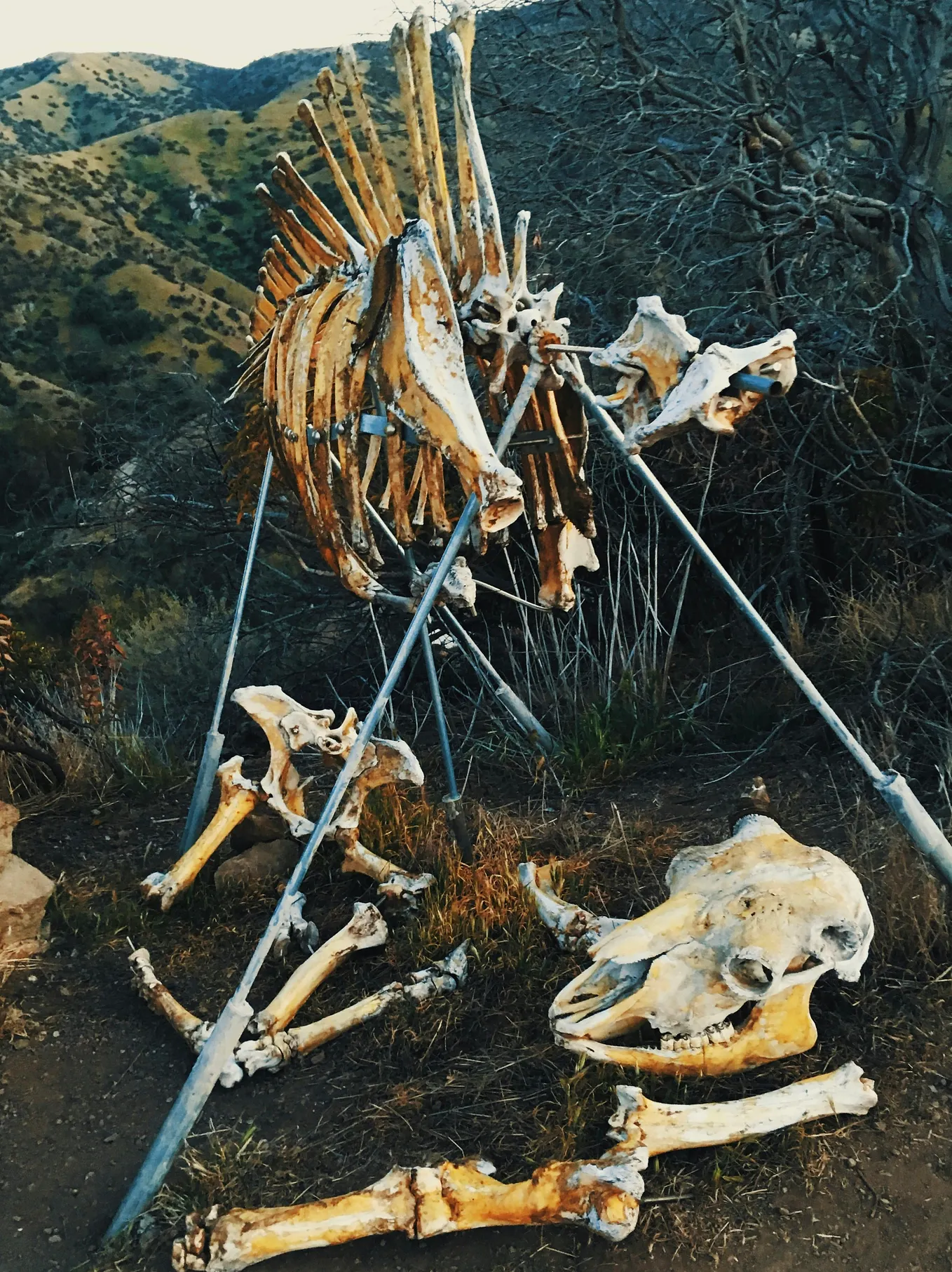 Crafting a Primitive Hiking Kit. A Step-by-Step Guide | by Alex ...