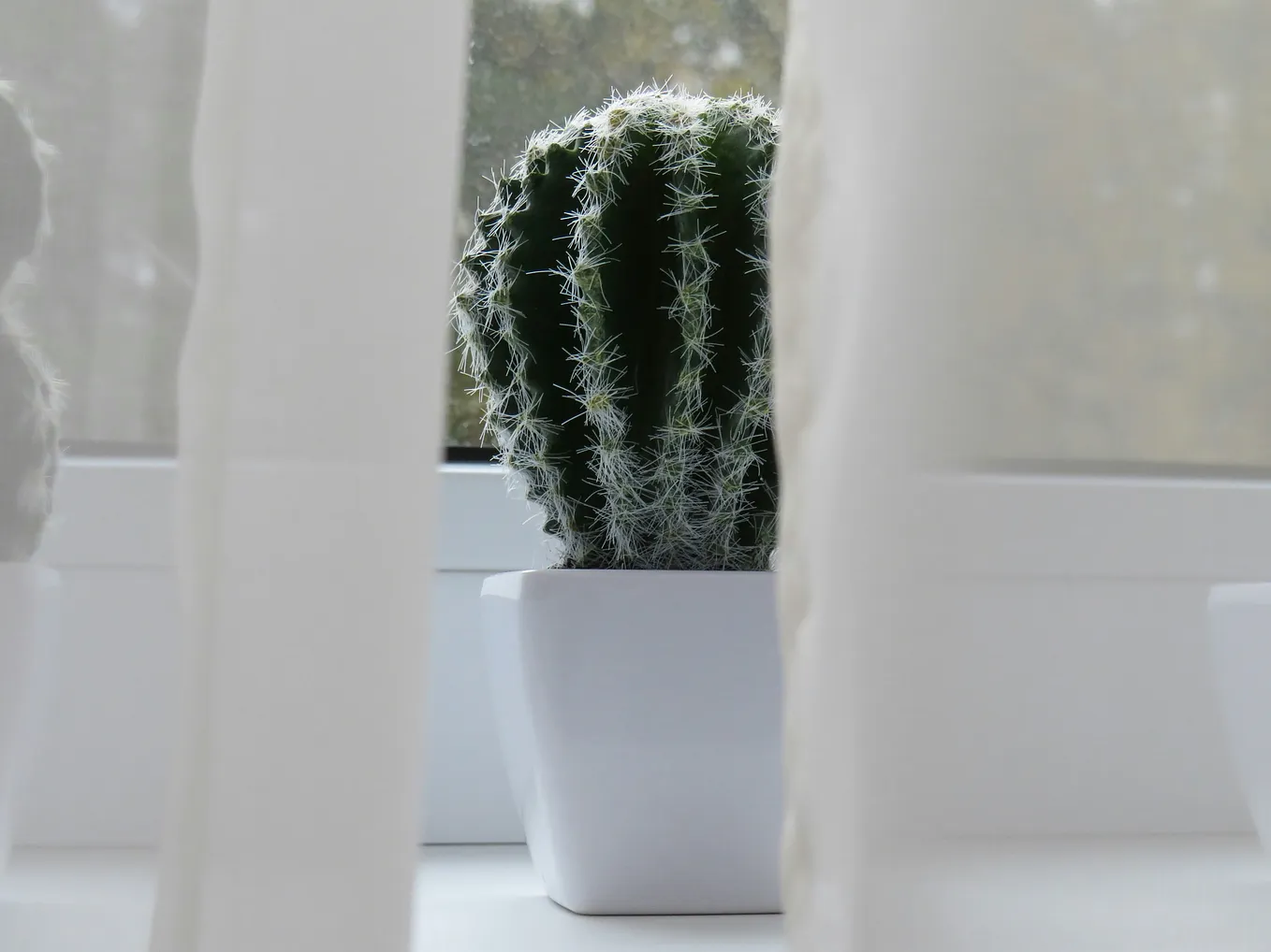 30 Days of Automated Testing：Using PHPUnit【D18】 | by WilliamP | Nov ...