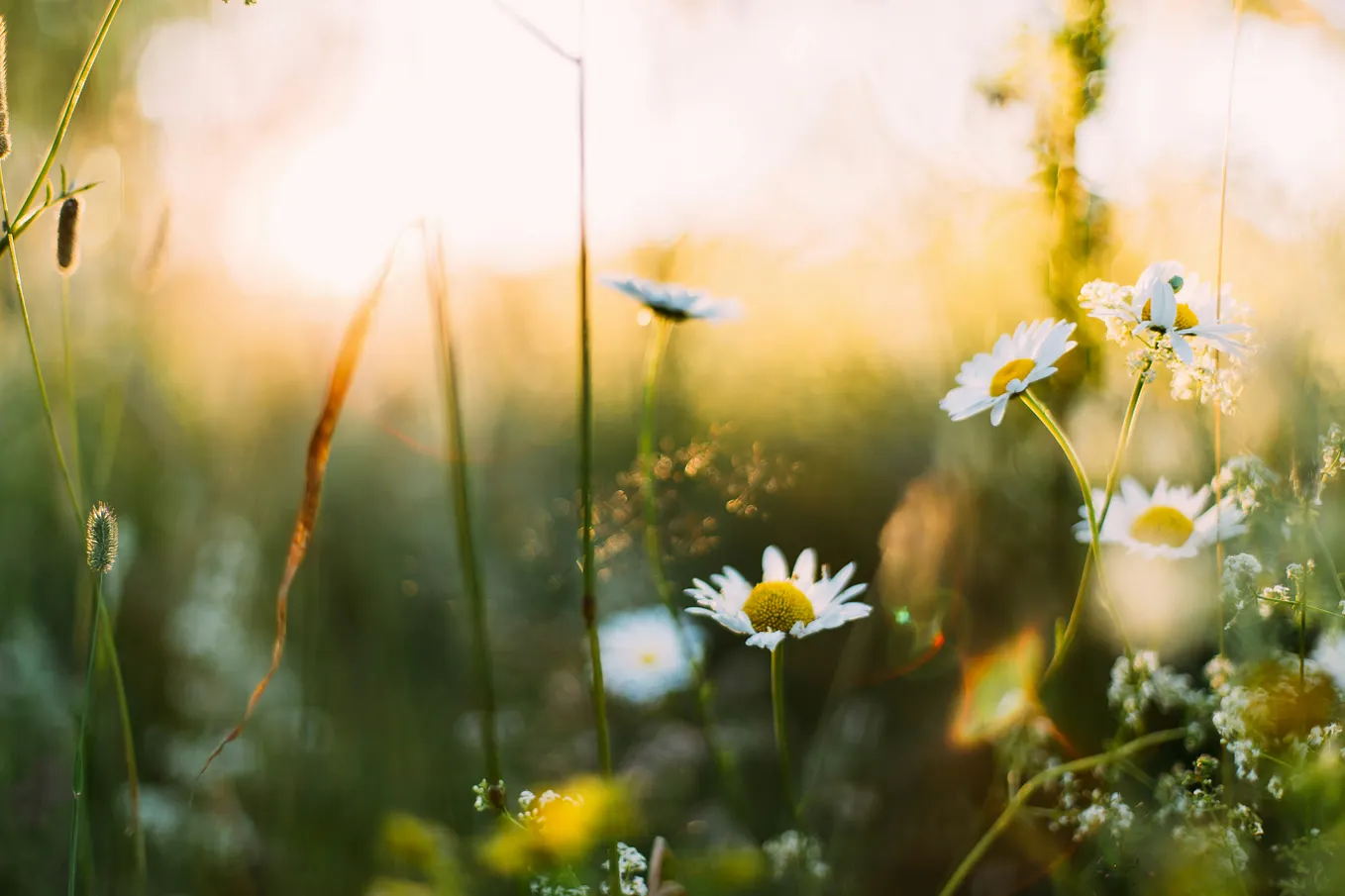 Custom Annotations and AOP in Spring: A Practical Guide | by Alex ...