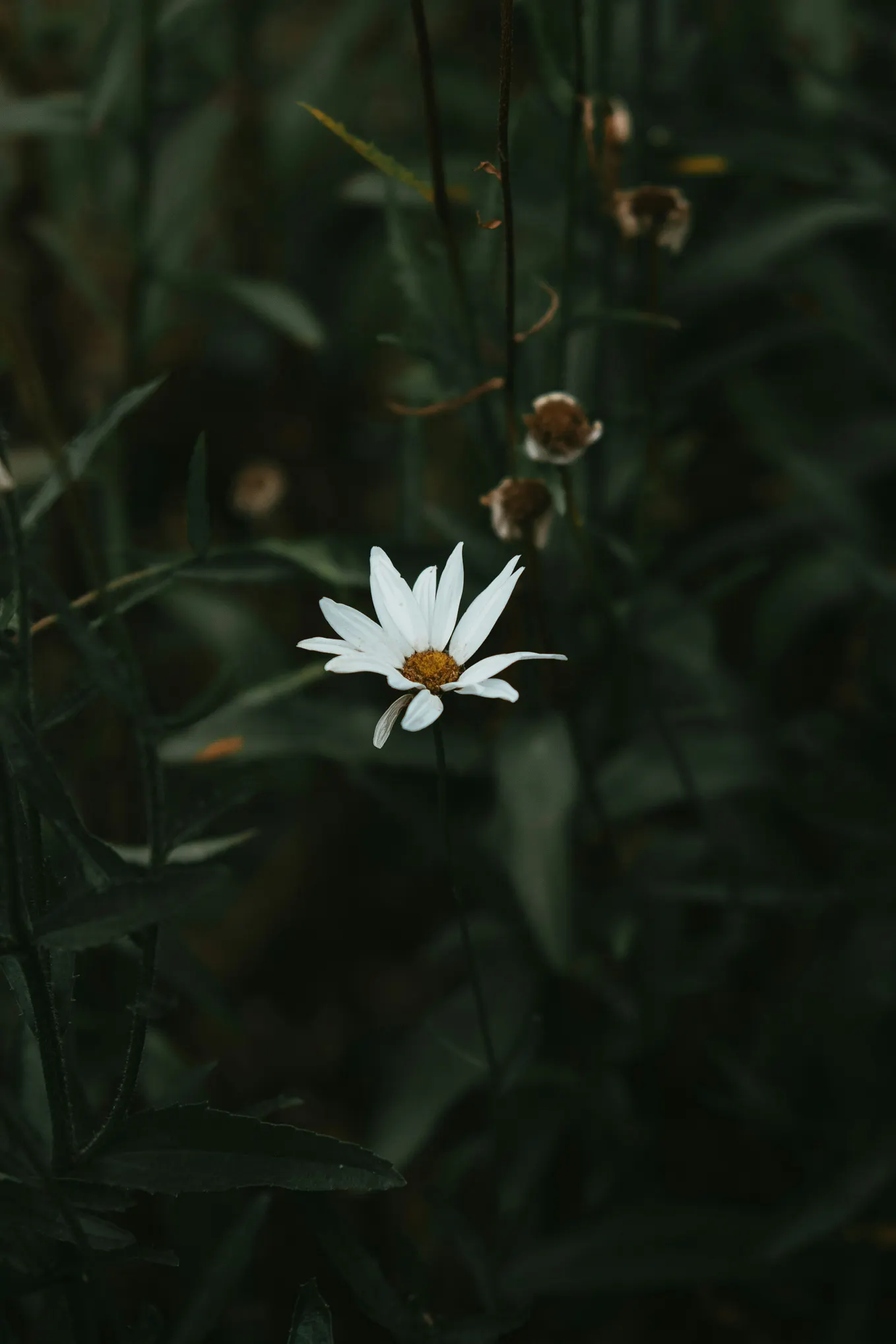 Evaluating Model Performance: A Comprehensive Guide | by Zhong Hong | Medium