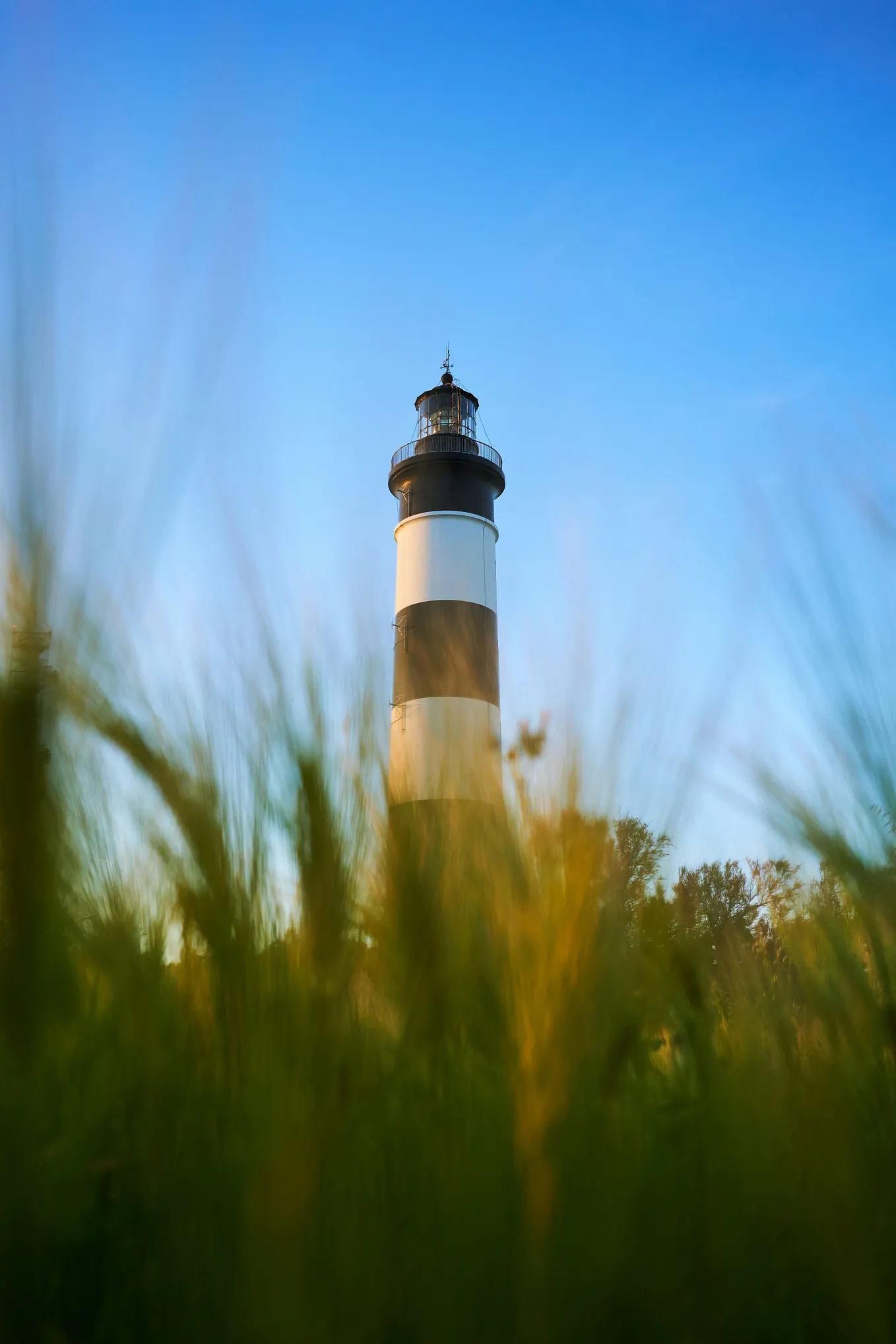 The Power of Acknowledging Mistakes: A Path to Growth and Integrity ...