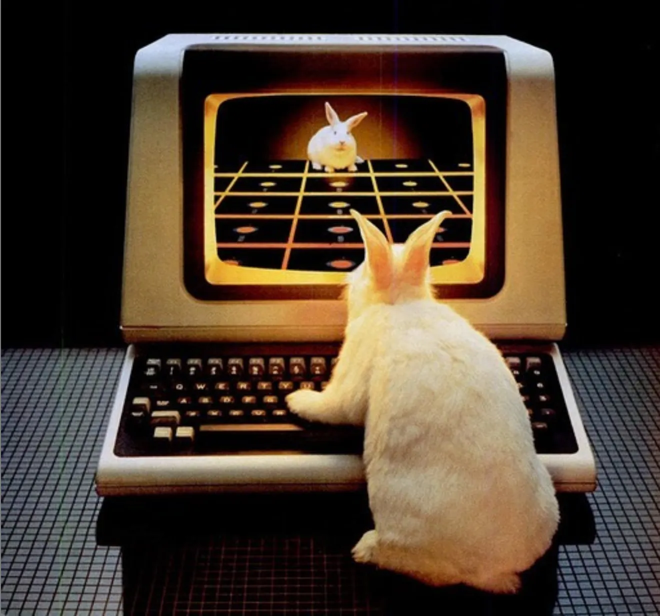 Warmwind OS and the promise of a cloud-based AI Operating System | by ...