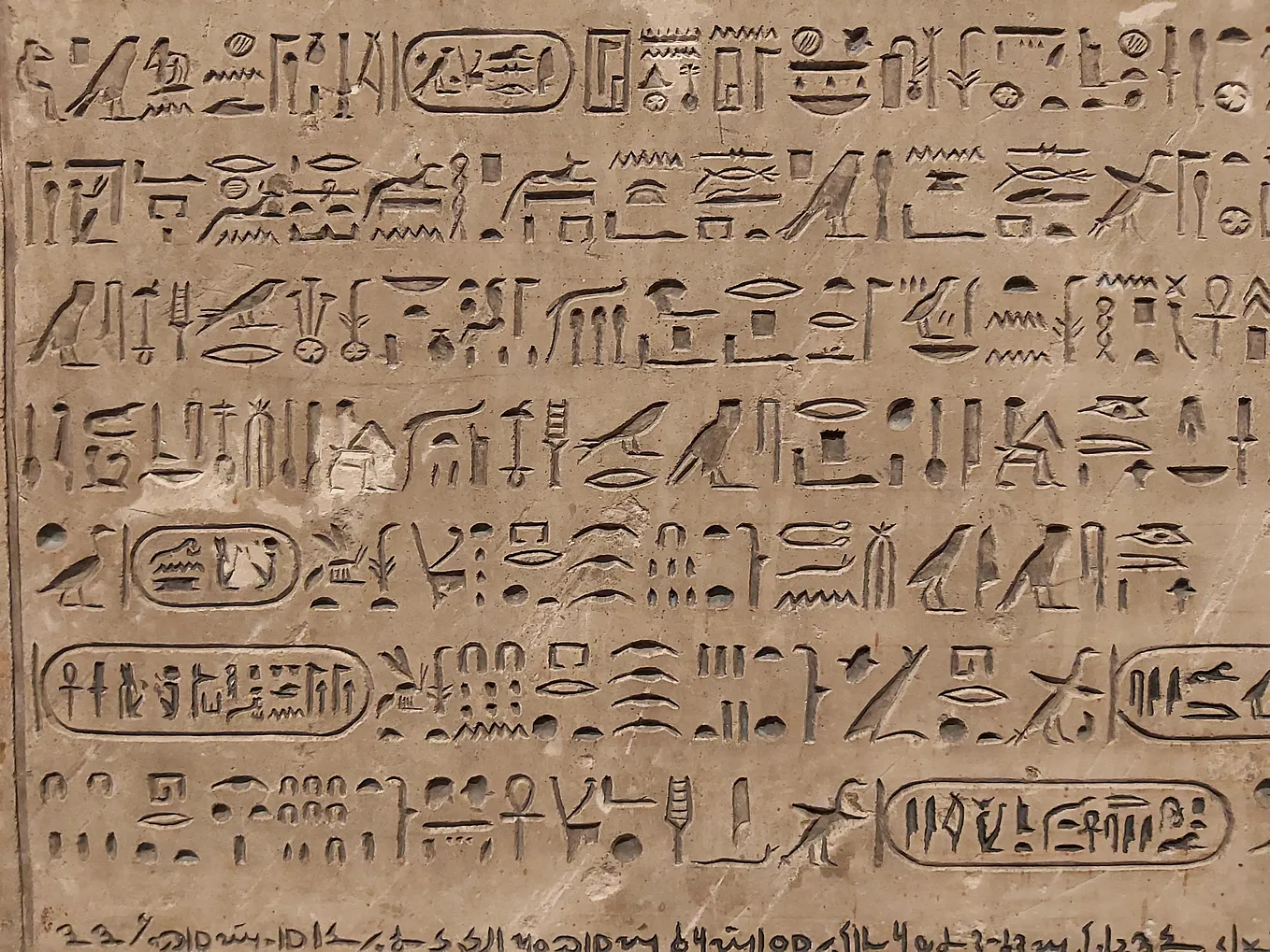 Assembly vs. Machine Code: Readability and Capabilities | by Eric ...