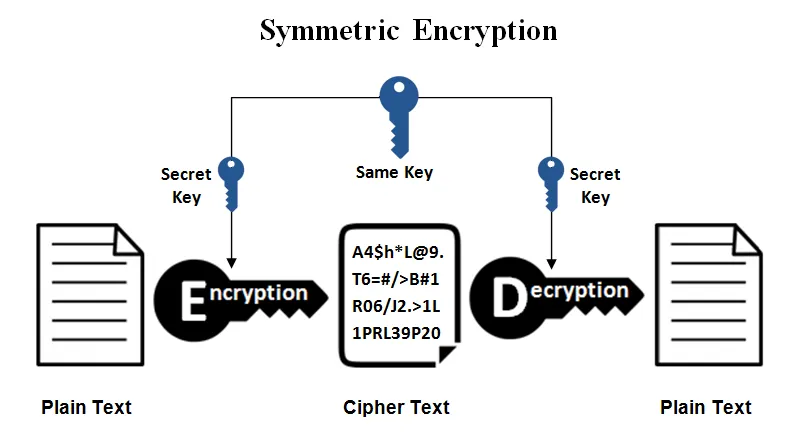 Private vs Public vs Elastic IP: A Guide to Understanding IP Addressing ...