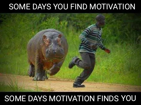 How I utilised LeetCode to get multiple tech job offers | by Minh Nguyen | Medium