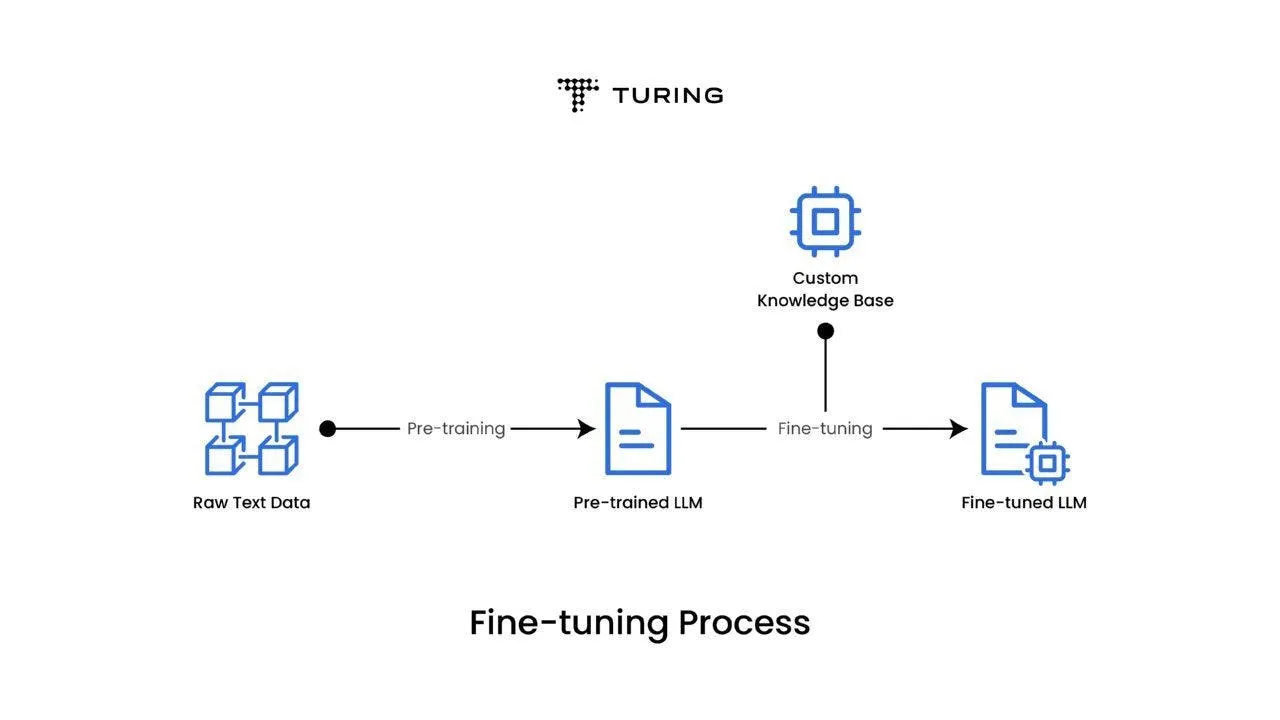 How to Convert a PyTorch Model to ONNX | by Fateme Bafghi | Medium