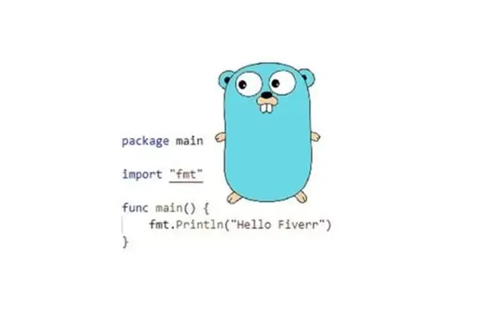 Initiate a Go project. To initiate a Go (Golang) project and… | by Juno ...