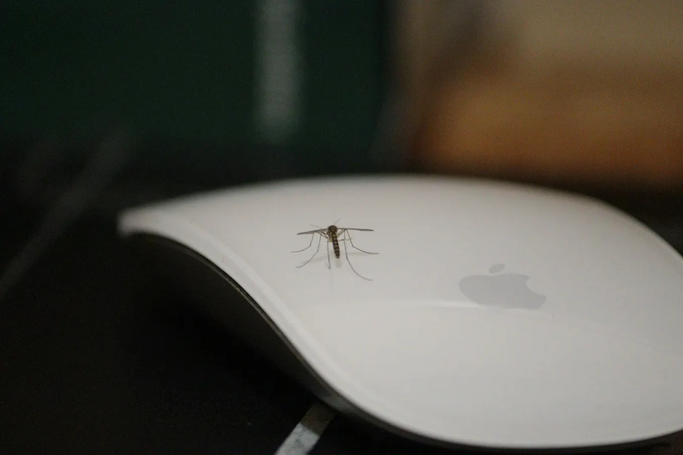 Understanding the Differences Between ComponentActivity and AppCompatActivity in Android ...