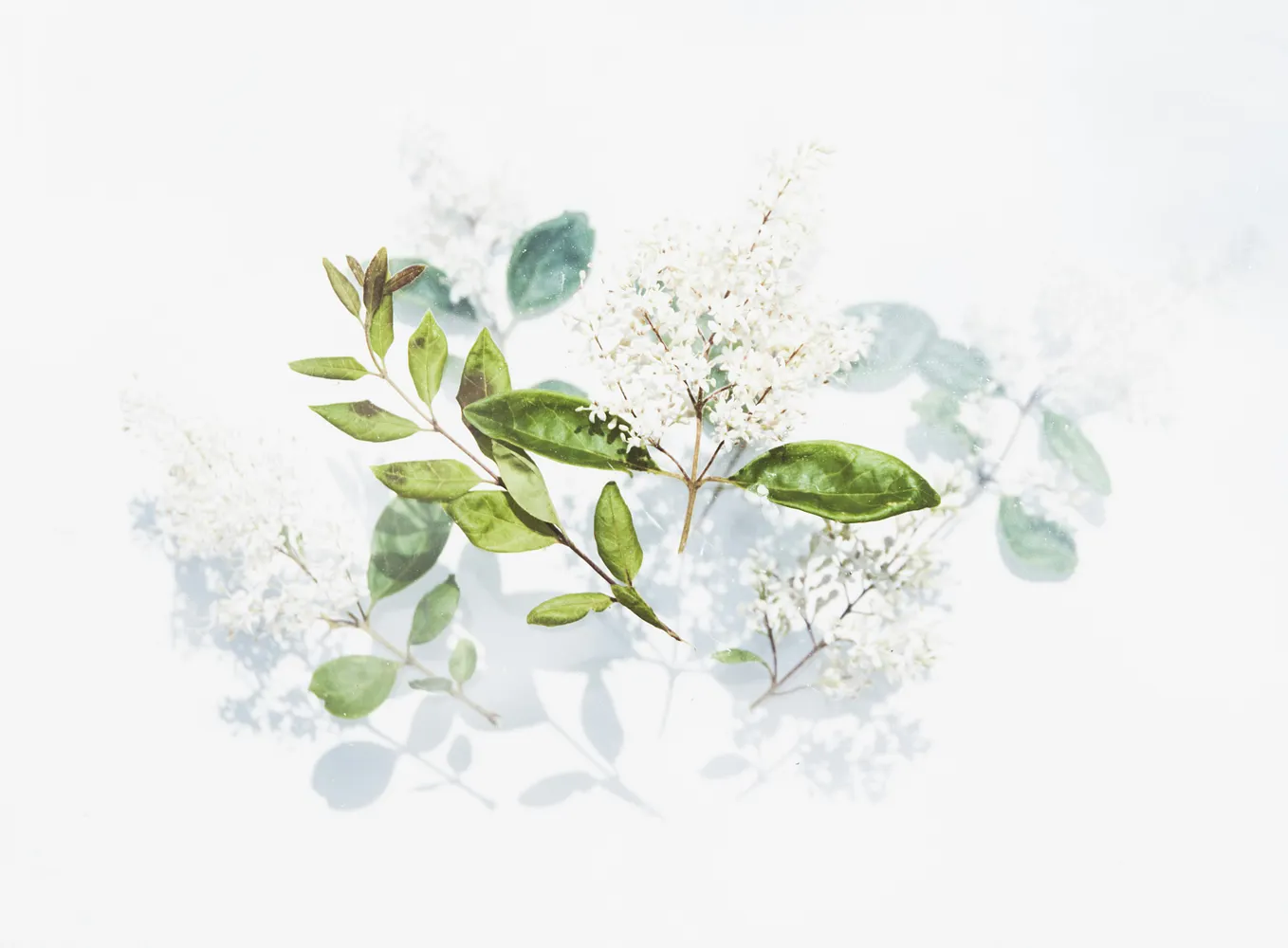 Introduction to XGBoost Algorithm | by Nadeem | Analytics Vidhya | Medium