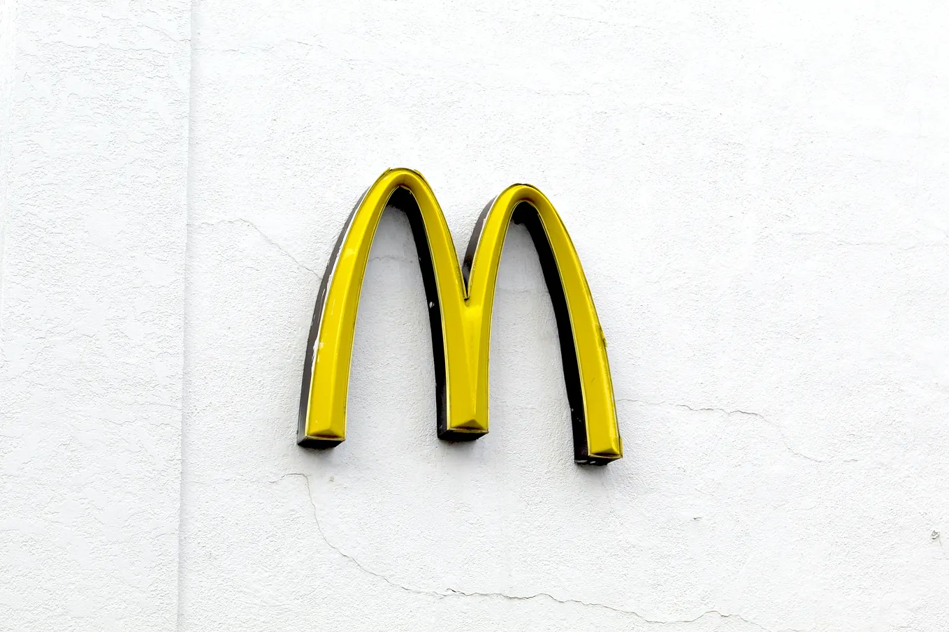 19 Logo Design Terms You Should Know | by BrandMatters | Medium