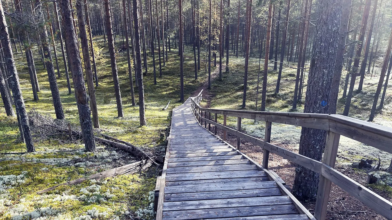 Ai Observability In Snowflake Cortex Tracing And Evaluating Your Ml Models By Pascal Pfäffle