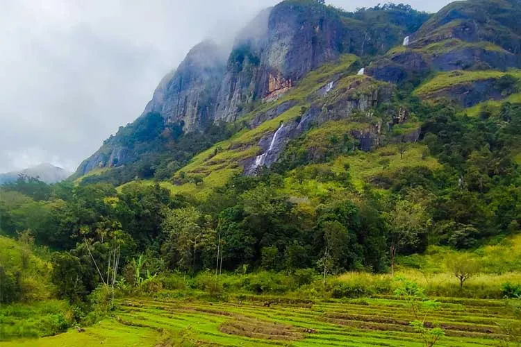 Deep Dive into .NET Large Object Heap (LOH) and Practical Use of ArrayPool for High-Performance ...