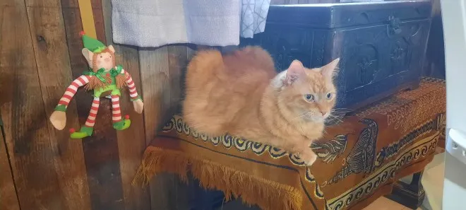 C. To initialize a structure variable in… | by Ace | Medium