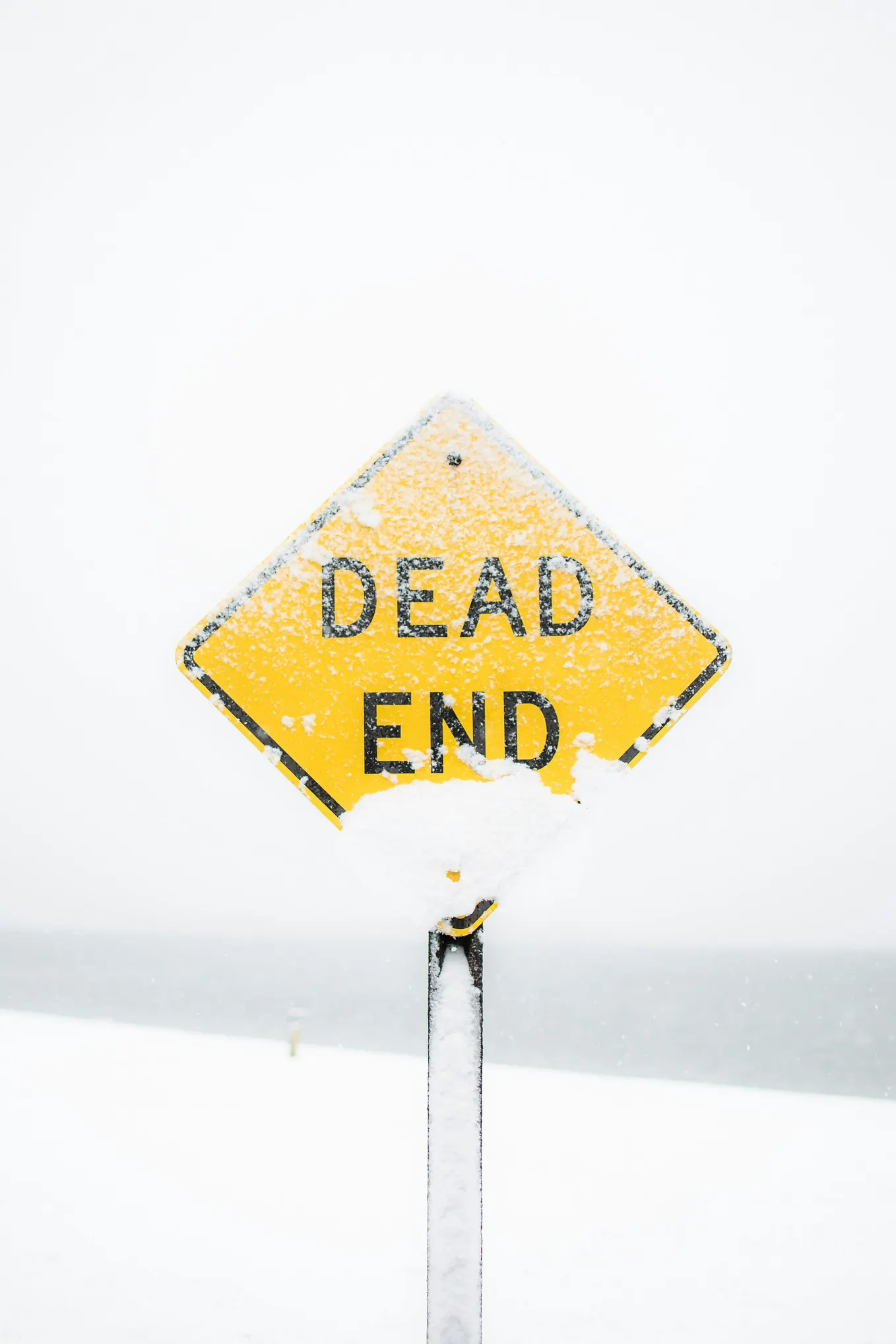 How my ego death is changing my definition of success | by Shayne ...