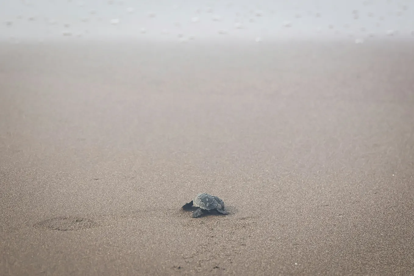 How to render a photo image and save rendering time | Bootcamp