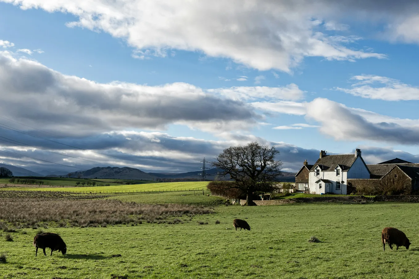 How Many People Lived in Scotland in the Middle Ages? | by Yuki ...