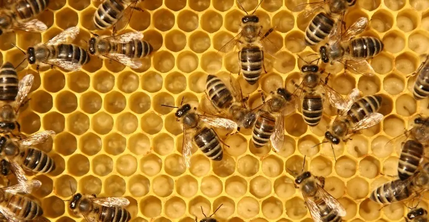 Building a Teams Bot to Get Insights from Snowflake using Cortex AI and JavaScript | by Sanket ...