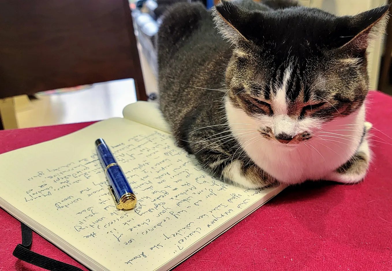 The Handwritten Story Writer’s Guidelines | by Bill Adler | The ...