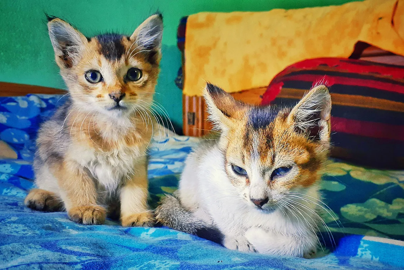 What Exactly Is A Fractional Derivative By Bl Intuition Medium