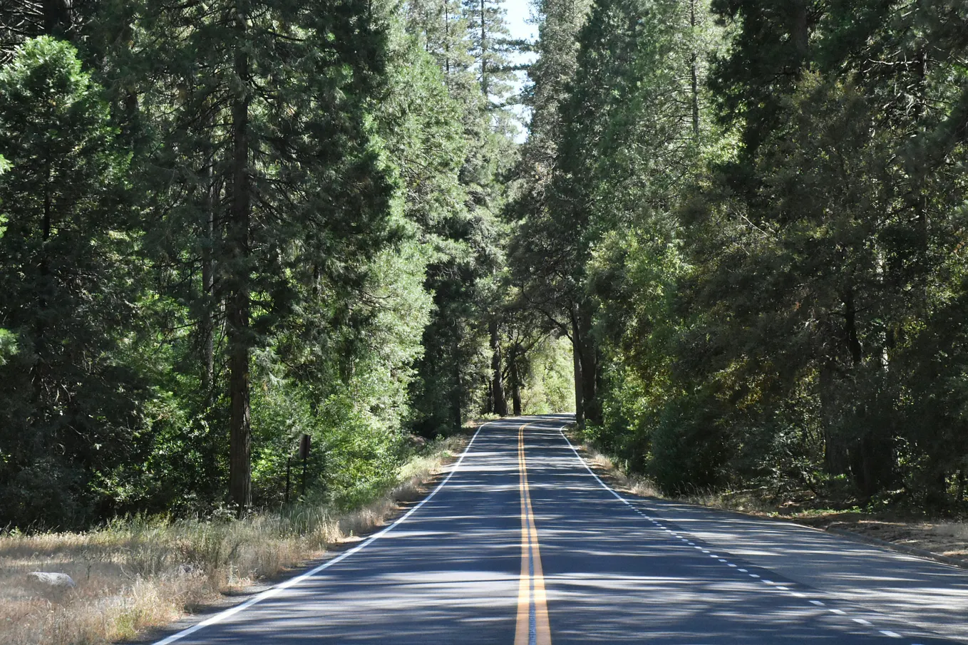 Mastering Shopify Integration in Laravel: The Definitive Guide to Installing, Setting Up, and ...