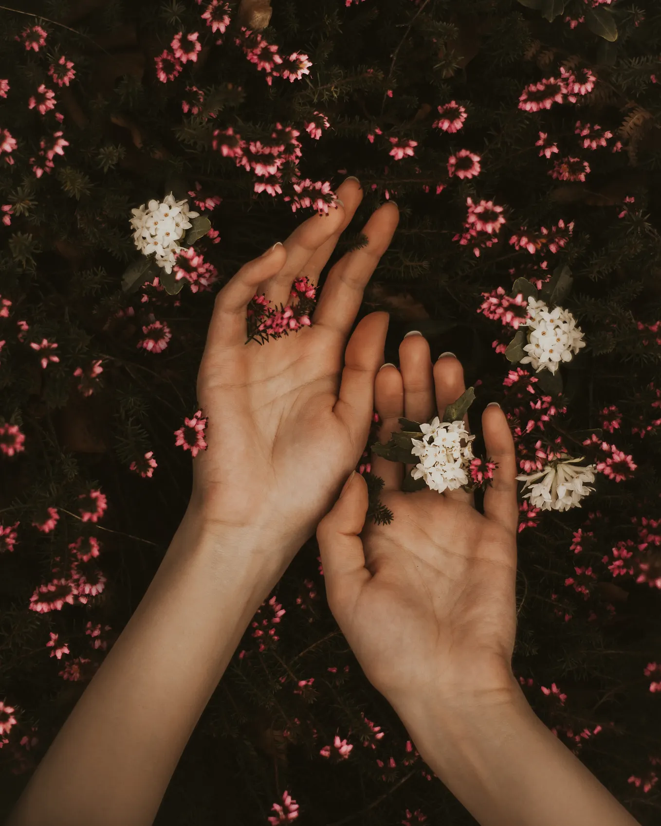 Spirituality Isn’t About Surrendering Everything | by Aline Ra M ...